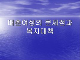 2004매춘여성의 문제점과 복지대책-1페이지