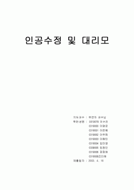 인공수정, 대리모에 대한 윤리적 관점-1페이지