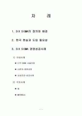 6시그마(SIX SIGMA) 운동과 경영성공사례-1페이지