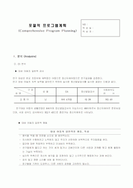 포괄적 프로그램, 구체적 프로그램-1페이지