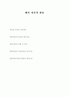 벤처 자본의 활용-1페이지