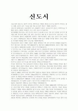 신도시의 의미 분당의 현황과 문제점-1페이지