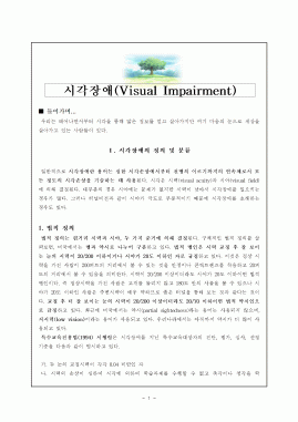 시각장애(Visual Impairment)에 관한 종합적 보고서-1페이지