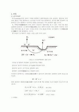 부식에대한 reporting자료-1페이지