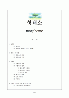 형태소(morpheme) - 형태소 기술의 의의와 적합한 분류방법-1페이지