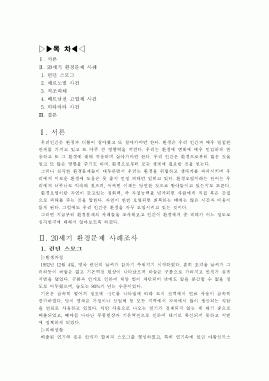 20세기 환경문제 사례 조사-1페이지