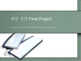 [계량경영]Decision Tree를 이용한 SP Strategy Map 도출-1페이지