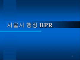 서울시 행정 BPR-1페이지