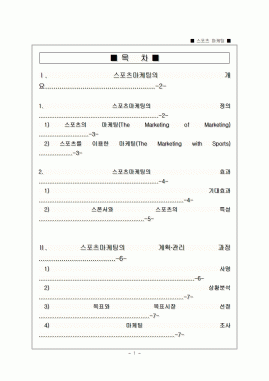 스포츠마케팅에서 소비자의 행동유형에 대한 보고서-1페이지