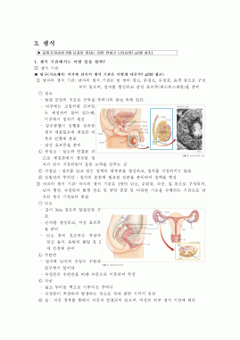 인간의 생식기관-1페이지