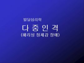 다중인격(해리성 정체감 장애)-1페이지