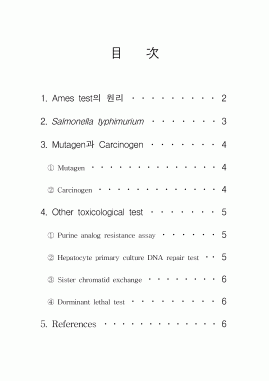 Ames test-1페이지