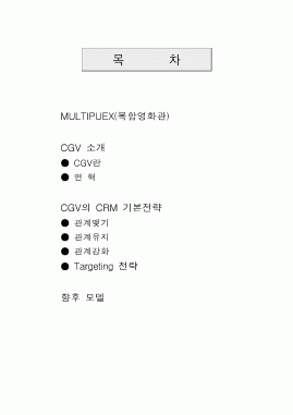 CGV 마케팅 전략-1페이지