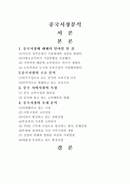 중국시장 완전분석-1페이지