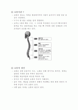 요통의 중요성-1페이지