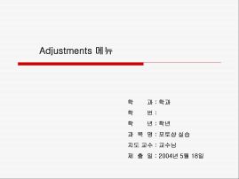 Adjustments 메뉴-1페이지