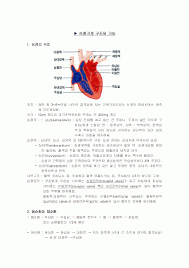 순환기계의 구조와 기능-1페이지