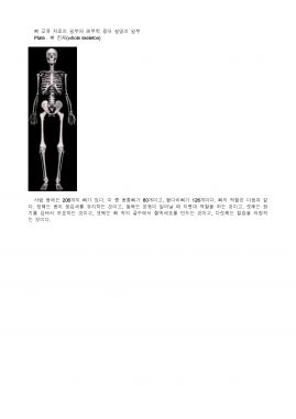 뼈 교육 자료의 일부와 해부학 용어 설명의 일부-1페이지