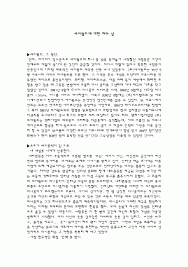 싸이월드의 허와 실-1페이지