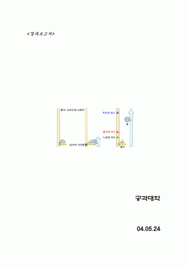 [일반화학실험] 크로마토그래피(Chromatography)-1페이지