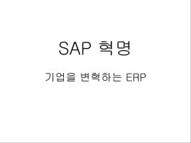 SAP 혁명--기업을 변혁하는 ERP(ERP에 관한 기본 개념,활용, 사례 수록)-1페이지