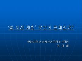 쌀시장 개방의 현황과 문제점-1페이지