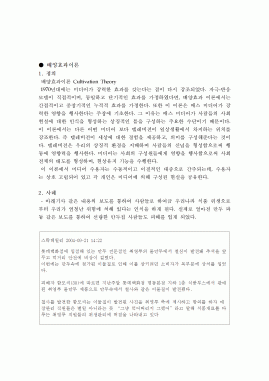 배양효과 뉴스틀짓기 프라이밍 정의와 사례분석-1페이지