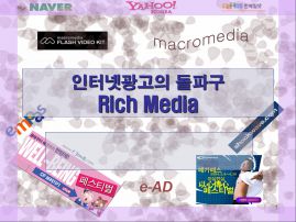 인터넷광고의 돌파구 -Rich Media 완전 분석-1페이지