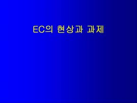 전자상거래의 현상과 과제-1페이지