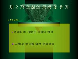 기회의 탐색 및 평가-1페이지