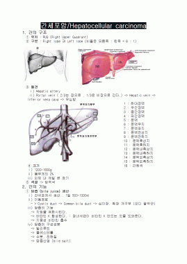 간세포암 Hepatocellular carcinoma -1페이지