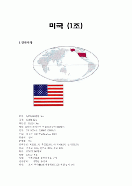 미국에 관하여..-1페이지