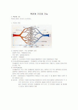 [논문] 맥관계의 구조와 기능-1페이지