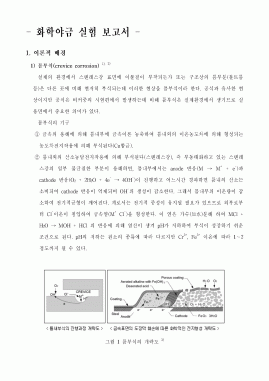 화학야금 실험 보고서 [틈부식(crevice corrosion) 공식(孔蝕, pitting)]-1페이지