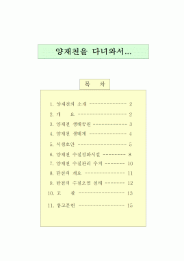 양재천을 다녀와서-1페이지