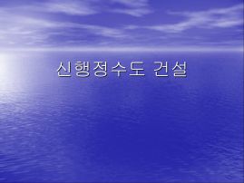 신행정수도 건설-1페이지