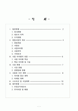 창업 사업 계획서 (스트레스 해소 아이템)-1페이지