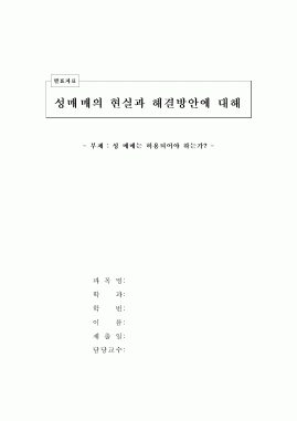 성매매의 현실과 해결방안에 대해-1페이지