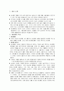 베네통의 성공사례 분석-1페이지