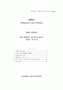 MPLS - Multiprotocol Label Switching-1페이지