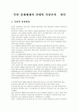 [북한]경제체제의 실태와 식량난의 원인-1페이지