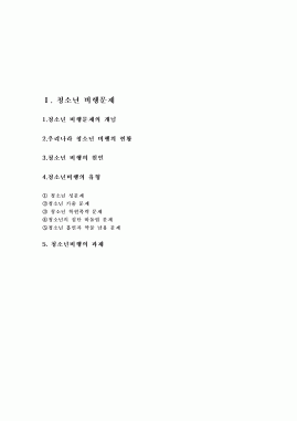 [사회과학] 청소년문제 -1페이지