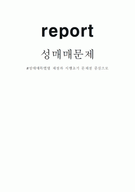 성매매의 실태와 문제점 해결방안(성매매특별법의 시행초기의 문제점제시)-1페이지