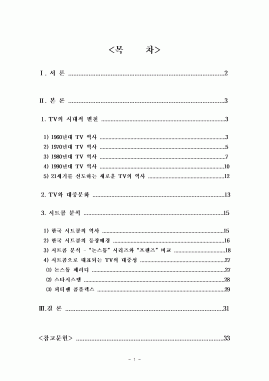 대중문화(TV, 시트콤)-1페이지