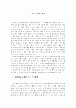 응급의료체계-1페이지