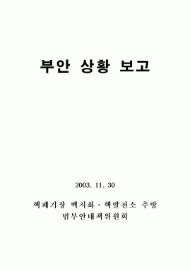 부안 상황 보고-1페이지