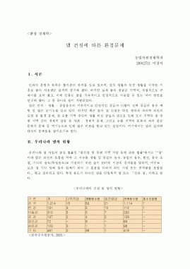 댐 건설의 문제점과 환경 문제-1페이지