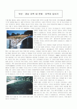 유적지답사기(연산동,복천동고분군)-1페이지