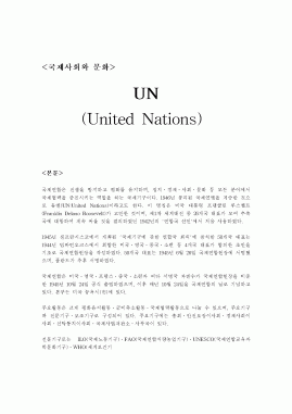 [국제연합]UN(United Nations)-1페이지