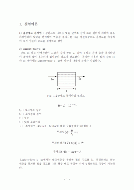 실험5. 흡광광도 분석-1페이지